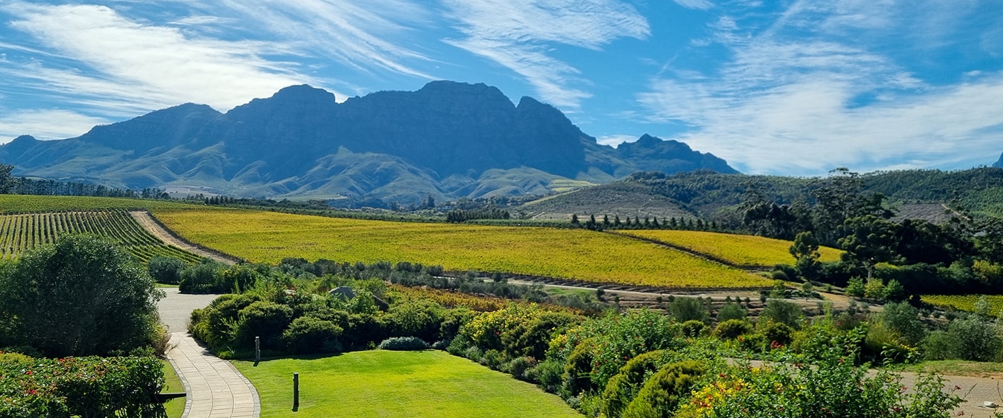The magnificent Glenelly Wine Estate