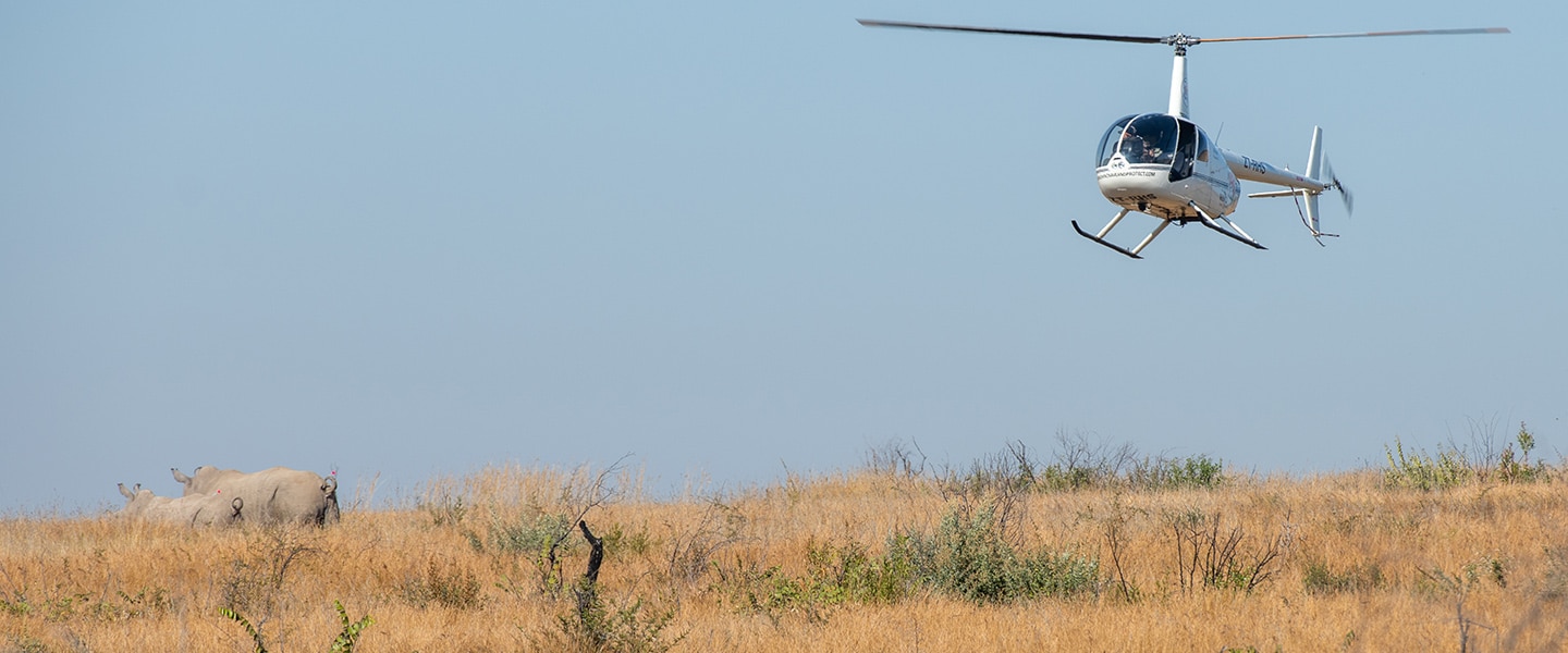 The drive to protect our rhinos